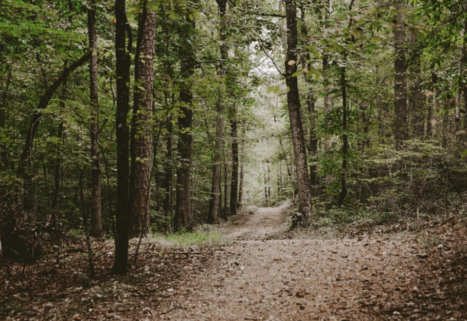 Welcome - Stratford Hall Historic Preserve