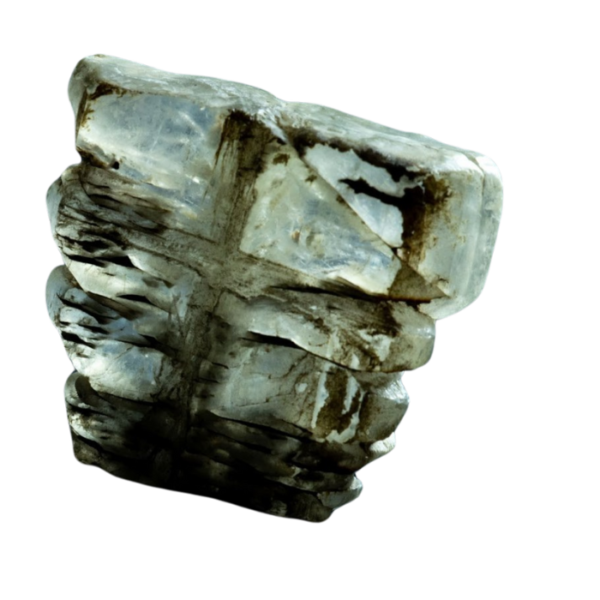 Welcome - Stratford Hall Historic Preserve